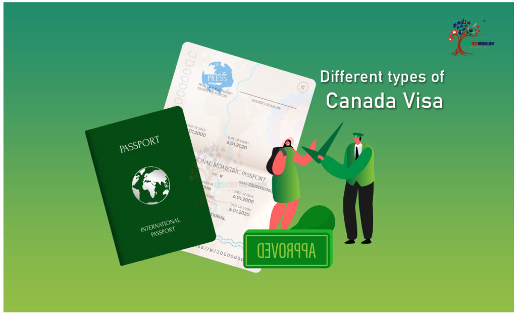 Different types of Canada Visa Categories and types - GreenTree Immigration